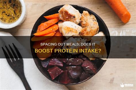 Spacing Out Meals Does It Boost Protein Intake Medshun