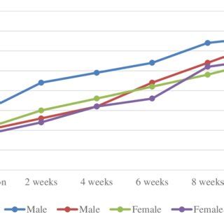 Median Scores Of Male And Female Participants From The Two Age Groups Download Scientific Diagram