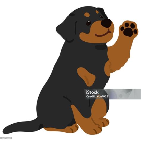간단하고 사랑스러운 로트 와일러 개 일러스트 손으로 평평한 색상을 흔들고 개에 대한 스톡 벡터 아트 및 기타 이미지 개 발톱 달린 발 일러스트레이션 Istock