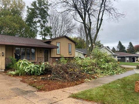 View Our Gallery Appleton WI Tree B Gone