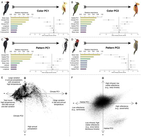 Variable Importance Scores And Model Averaged Parameter Estimates Download Scientific Diagram