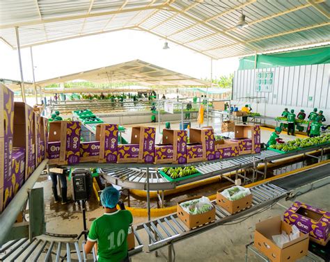 Guest Blog Upcycled Certification Towards Total Food Utilization