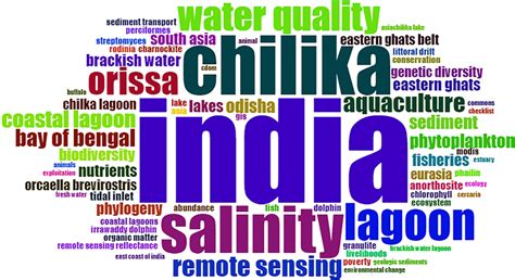 Word Clouds Summarizing The Most Frequently Used Authors Keywords In