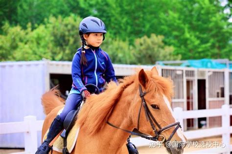北京国际学校北京德闳学校的活动和拓展课程真是的北京top了 知乎