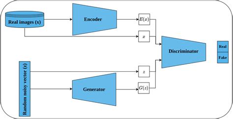 Illustration Of Self Supervised Features Learning Using Bi Directional Download Scientific