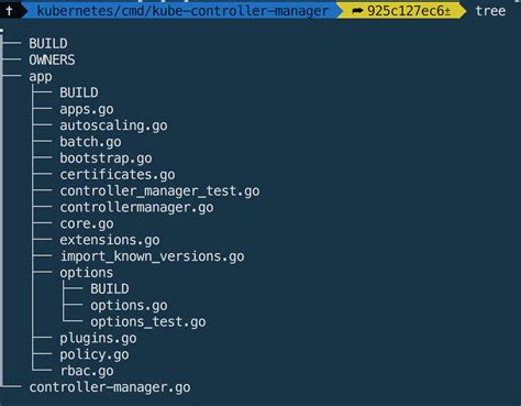 Kube Controller Manaer解析之启动流程 Xigangs Home