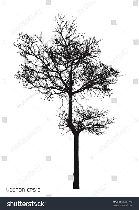 Tree Isolated On White Vector Stock Vector Royalty Free 622057775