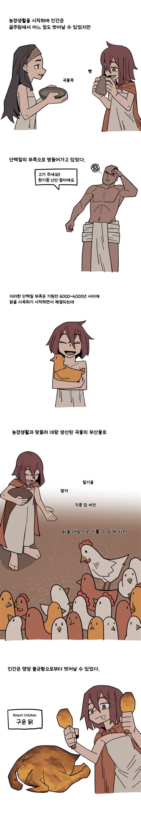 음식 인문학 만화 7 프라이드 치킨1 인류와 닭 카툰 연재 갤러리