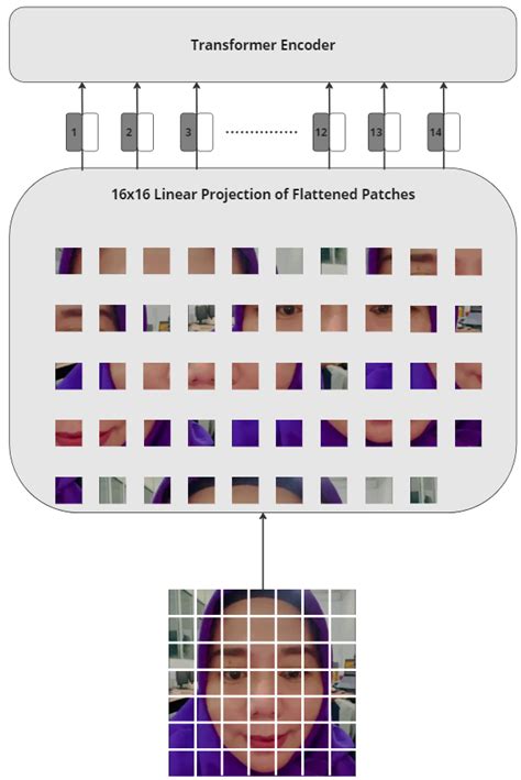 Illustration Of The Vision Transformer Vit Block Model With 16 Download Scientific Diagram