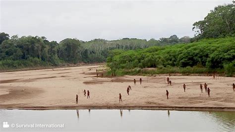 Rare Footage Captures Uncontacted Indigenous Tribe In Peruvian Amazon Abc News