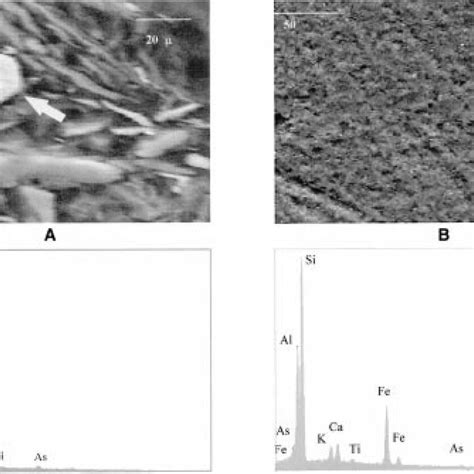 sem micrographs and microprobe analyses performed using energy