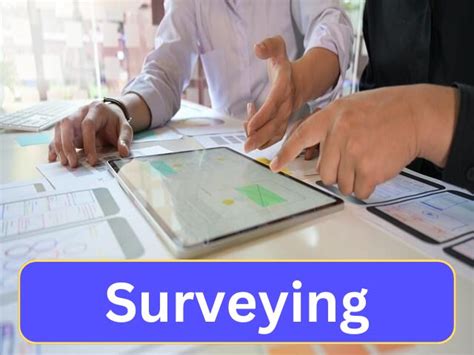 201009 Surveying