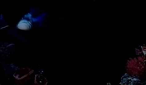 Stavros Monica Roccaforte