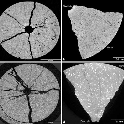 Pdf Internal Fractures After Blasting Confined Rock And Mortar Cylinders