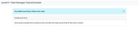 laravel 9 flash message example tutorial
