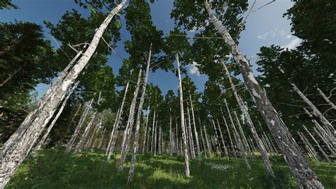 Karhuvaara Tree Pack Prefab Fs22 Kingmods