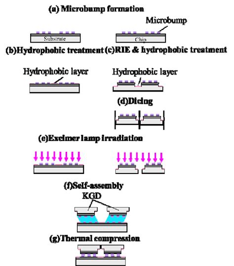 A Self Assembly Process Flow Download Scientific Diagram