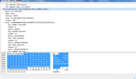 使用lua作为wireshark的私有协议解析插件 wireshark lua console csdn博客
