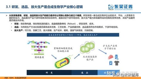 合成生物学行业研究报告：合聚万物，成致未来 知乎