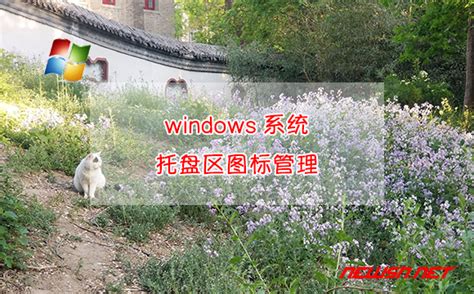 Windows系统，如何解决右下角托盘区图标残留的问题？