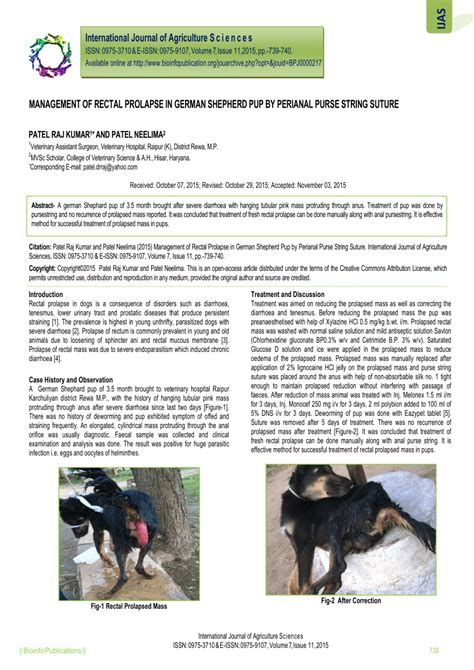 Pdf Management Of Rectal Prolapse In German Shepherd Pup By Perianal Purse String Suture