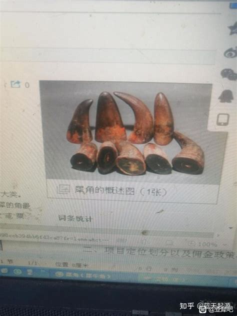古犀解密古犀到底长啥样 知乎