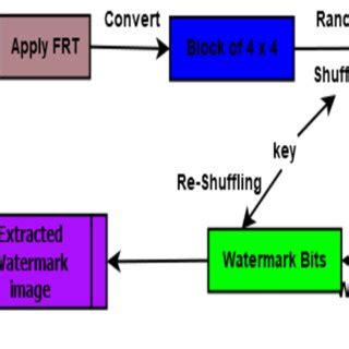 Block Diagram For Extraction Process Download Scientific Diagram