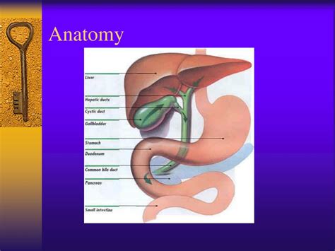 Ppt Cholelithiasis Powerpoint Presentation Free Download Id 5772728