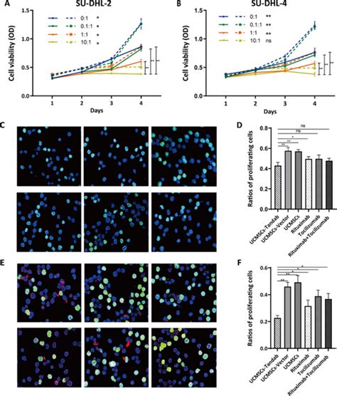 基因功能研究这道题，不只ko一种解法——过表达稳转株案例合集 知乎