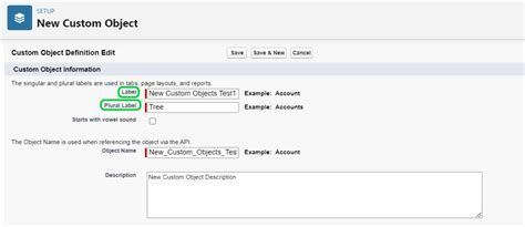 Create Custom Objects In Salesforce Salesforce Mamba