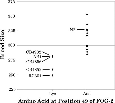 Gene Conversion And Dna Sequence Polymorphism In The Sex Determination Gene Fog 2 And Its