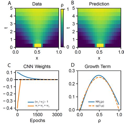 Scientific Machine Learning Interpretable Neural Networks That Accurately Extrapolate From