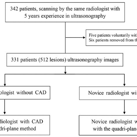 The Study Design And Workflow CAD Computer Aided Diagnosis Download Scientific Diagram