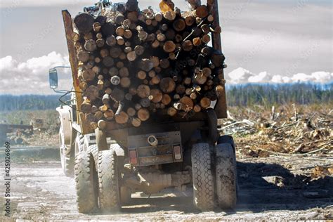 Forest Industry Operations For Loading Unloading Logging Truck At