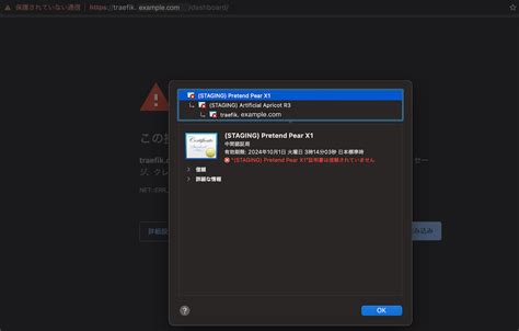 Traefikでデプロイ Let s EncryptでTLS対応させる エンジニアの本棚