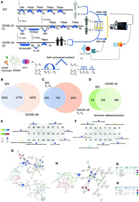 Overview Of The Two Cohorts And The Proteomic Workflow A Two Cohorts Download Scientific
