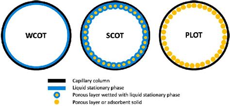 Capillary Column In Gas Chromatography Gc Capillary Column In Gas Chromatography Gc