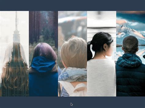 Css Var Designs Themes Templates And Downloadable Graphic Elements On Dribbble