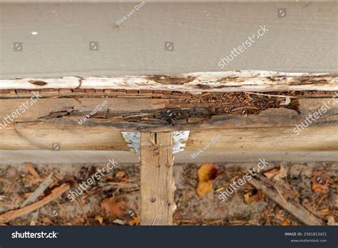 38 Deck Ledger Board Royalty Free Images Stock Photos Pictures Shutterstock