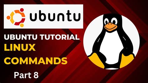 How To Copy Whole Directories In Linux Linux Commands Learn