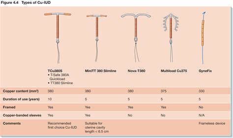 Melville Sexual And Reproductive Health At A Glance