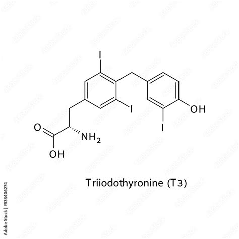 Triiodothyronine T3 Molecule Flat Skeletal Structure Thyroid Hormone Vector Illustration On