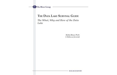 The Data Lake Survival Guide The What Why And How Of The Data Lake