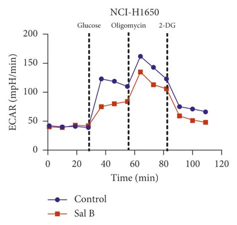 Sal B Weakens Metabolic Reprogramming Of Nsclc Cells Ad Glucose