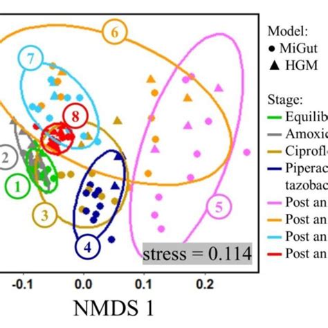 NMDS Plot Showing The Different Stages Of The Experiment From Download Scientific Diagram