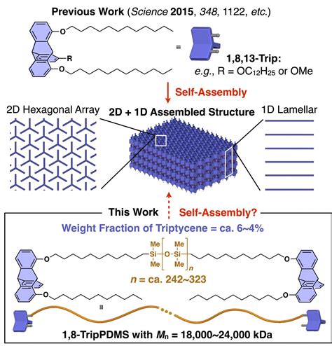 No Assembly Required Self Assembling Silicone Based Polymers Science Codex