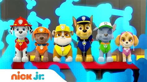 Paw Patrol Offizieller Titelsong Nick Jr Auf Deutsch