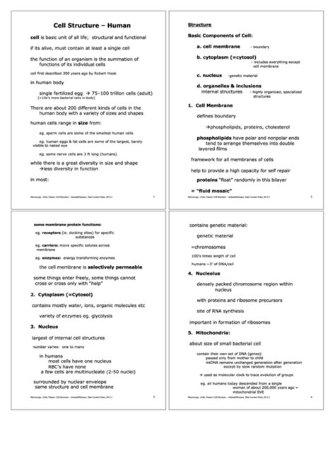 Cell Structure Biology Sheet Printable Pdf Download