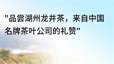 品尝湖州龙井茶，来自中国名牌茶叶公司的礼赞 日常知识 西子御茶网
