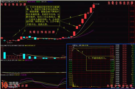 实战图解每天如何涨停板复盘与高效打板战法 拾荒网专注股票涨停板打板技术技巧进阶的炒股知识学习网